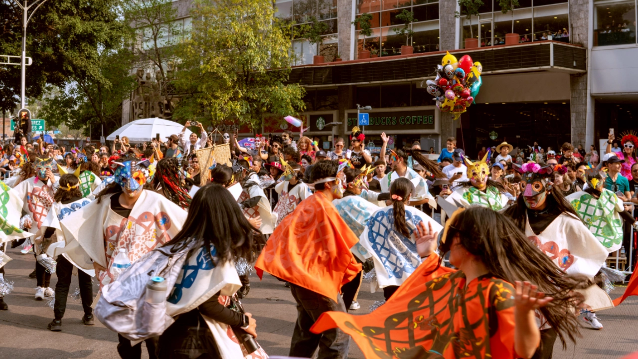 Stellar Patterns Development Centre - About Us