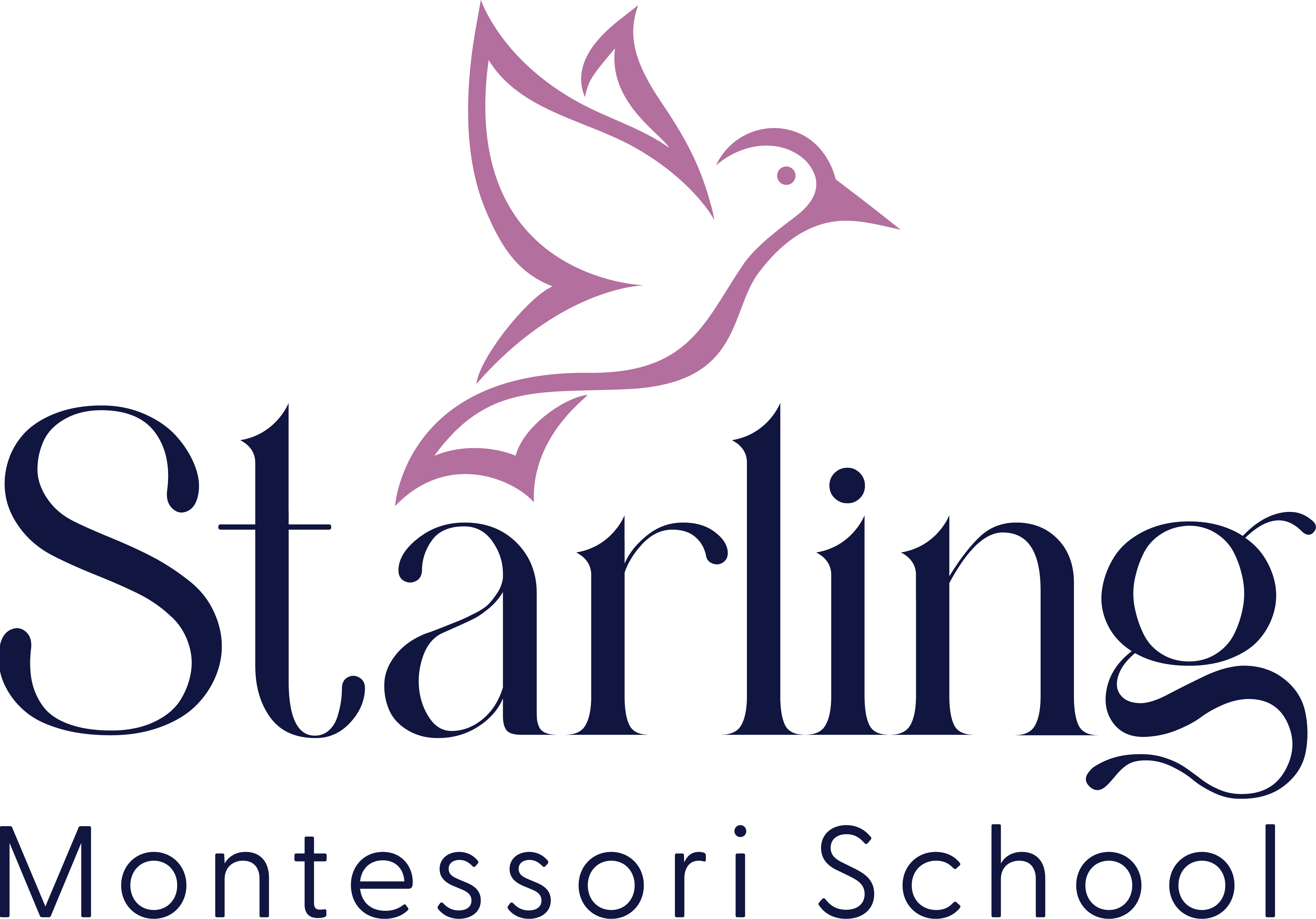 Starling Montessori School